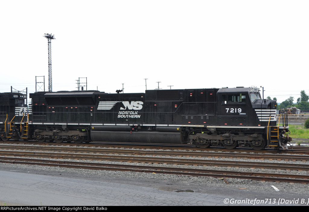 NS 7219